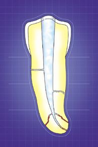 1000110133-1000241041 - Oral Health Group