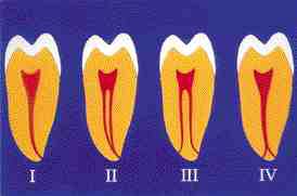 1000110632-1000239977 - Oral Health Group
