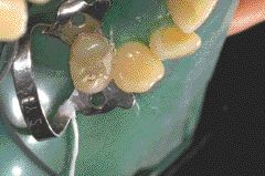 1000118894-1000264011 - Oral Health Group