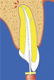 1000141940-1000266762 - Oral Health Group