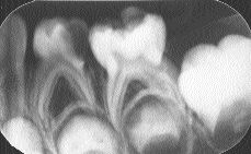 1000148862-1000255462 - Oral Health Group