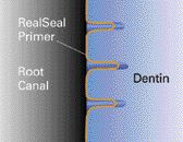 1000148863-1000255476 - Oral Health Group