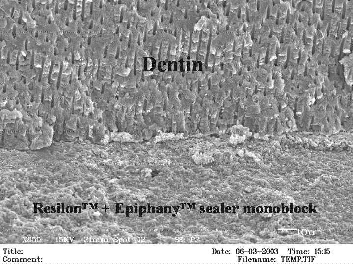 1000148863-1000255479 - Oral Health Group