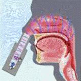 1000195817-1000277650 - Oral Health Group