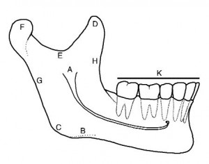 1000196403-1000277863 - Oral Health Group