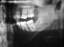 1000196405-1000277995 - Oral Health Group