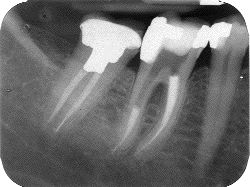 1000203884-1000292465 - Oral Health Group