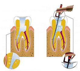 1000203886-1000292634 - Oral Health Group