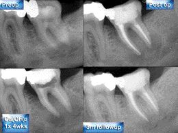 1000206573-1000289336 - Oral Health Group