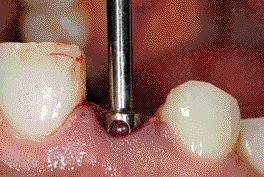 1000207820-1000299117 - Oral Health Group