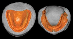 1000210543-1000294761 - Oral Health Group