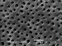 1000212822-1000304860 - Oral Health Group