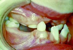 1000213679-1000302912 - Oral Health Group