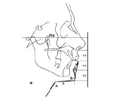 1000374020-1000374022 - Oral Health Group
