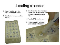 1000378050-1000378057 - Oral Health Group