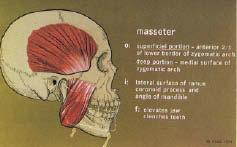 1000400312-1000400320 - Oral Health Group
