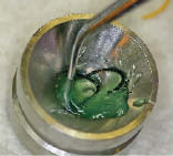 1000519731-1000519742 - Oral Health Group