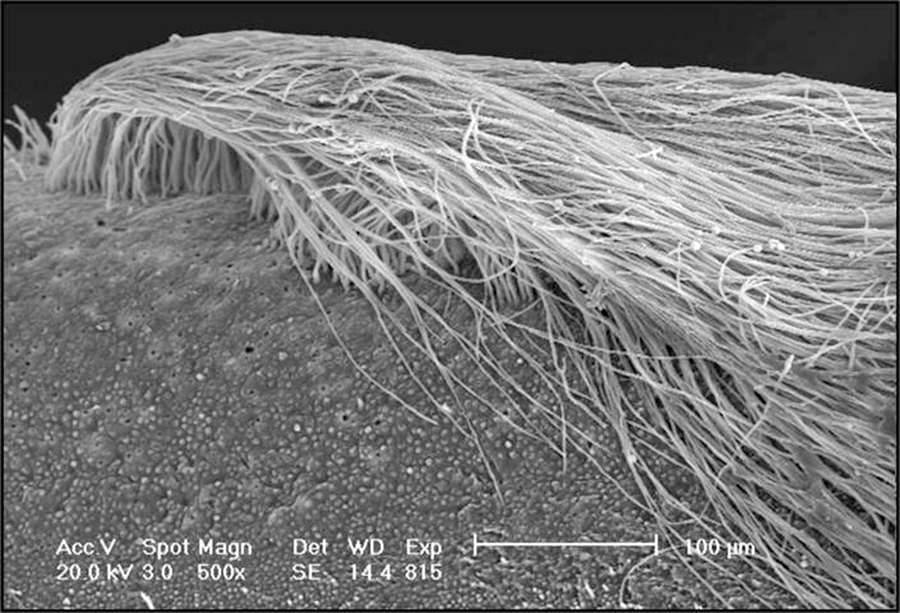 1001119584-1001119590 - Oral Health Group