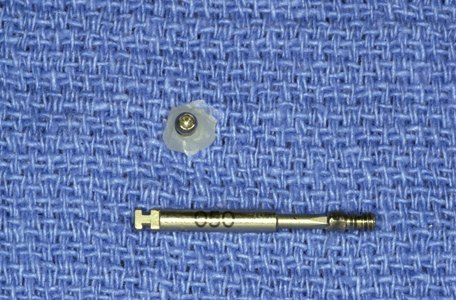 1001604150-1001604219 - Oral Health Group