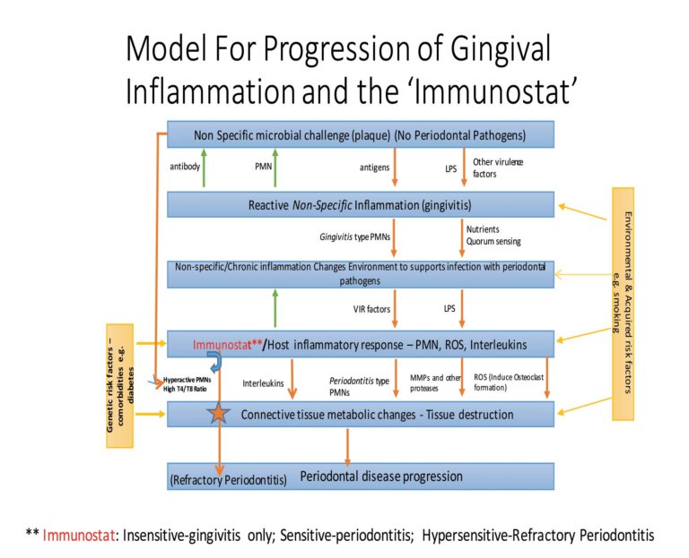Oral Inflammatory Load and the Immunostat: A Novel Conceptualization of ...