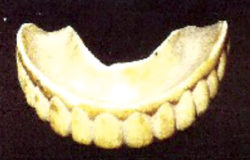 2017 is Truly the Year to Celebrate 150 Years - Oral Health Group