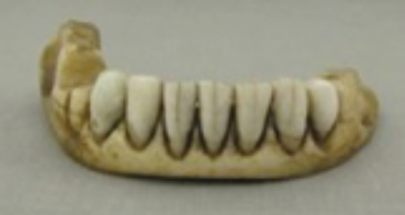 2017 is Truly the Year to Celebrate 150 Years - Oral Health Group