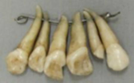 2017 is Truly the Year to Celebrate 150 Years - Oral Health Group