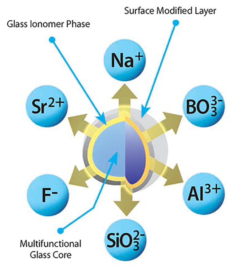 Bioactive Giomer Materials Can Help Improve Clinical Outcomes - Oral ...