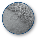 plaque - Oral Health Group