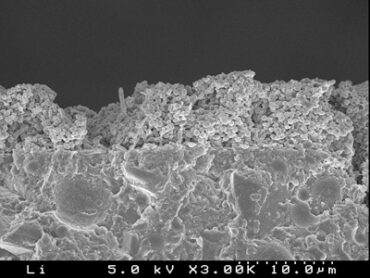 Bioactivity: Why Should I Care? - Oral Health Group