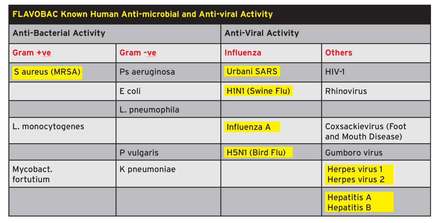 Plant Based Bioflavonoids: Preventing Common Colds, Influenza and Other ...