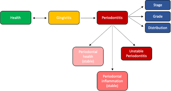 A Novel Simplified Stepwise Approach to Diagnosing Periodontal Diseases ...