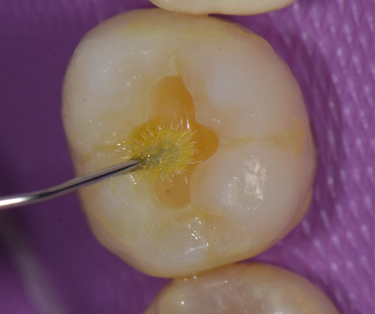 The Efficiency Zone - Oral Health Group