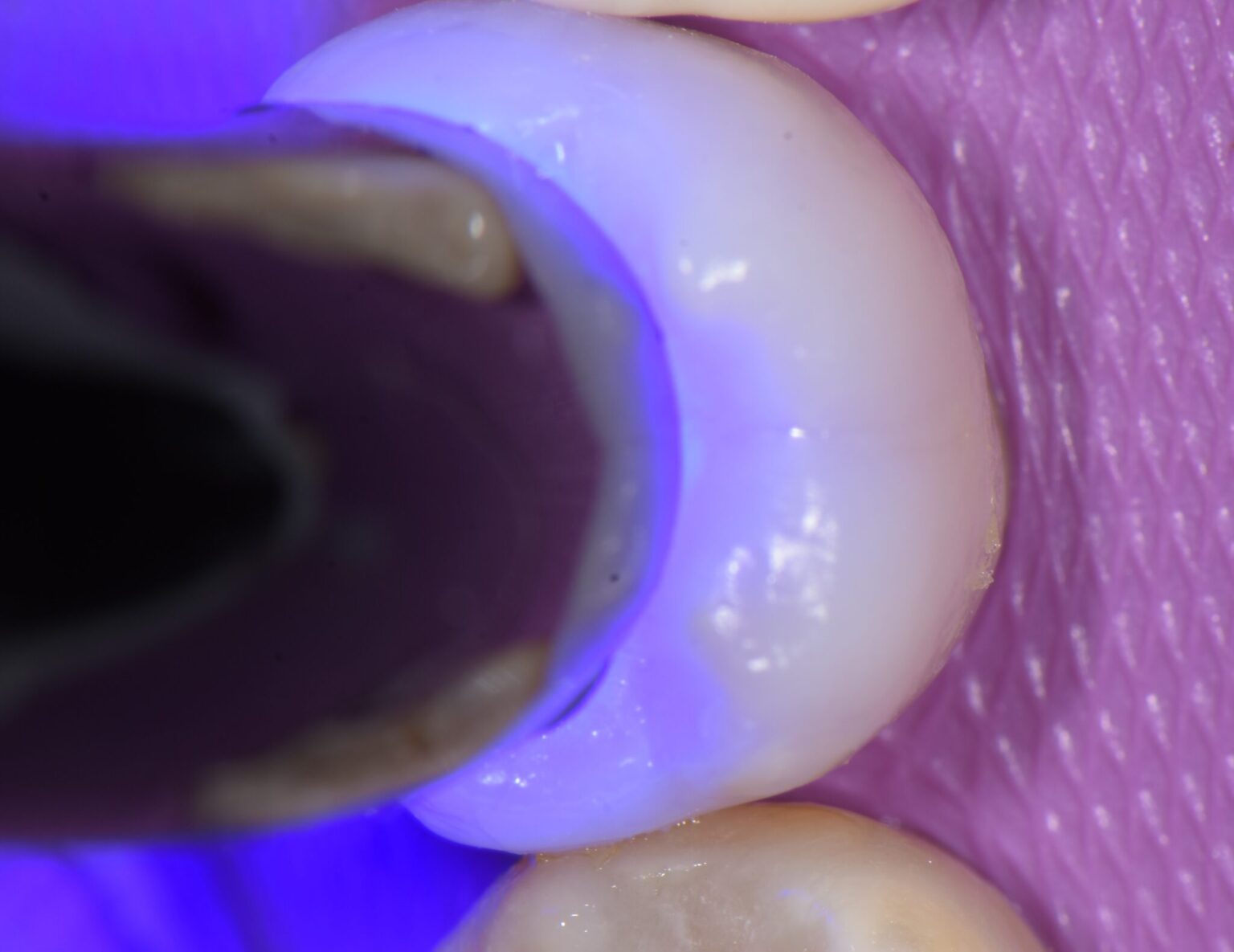 The Efficiency Zone - Oral Health Group