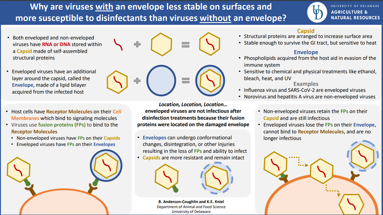 Fig. 1 - Oral Health Group