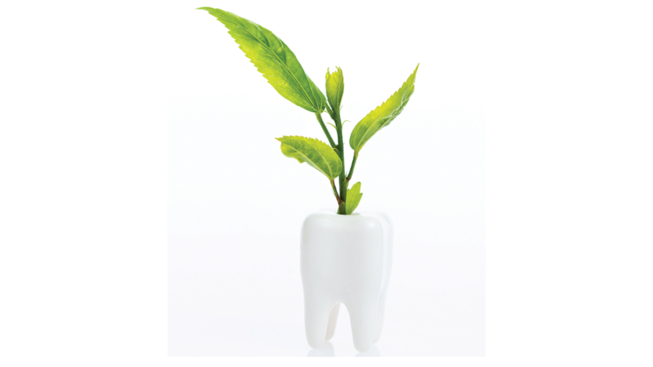 plantx - Oral Health Group