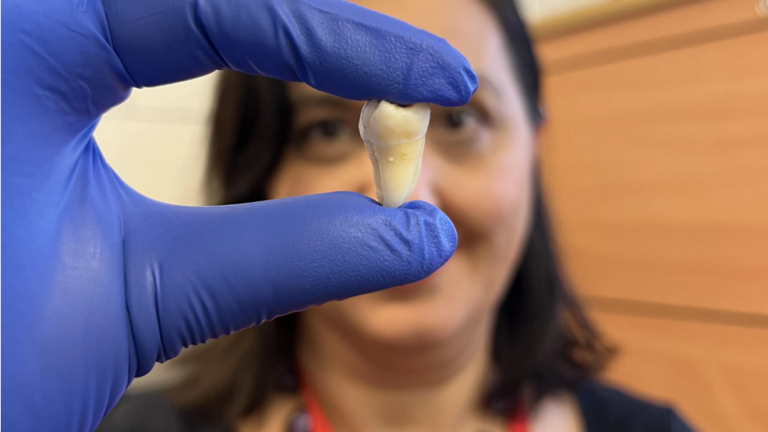 Scientists grow human teeth in a lab for the first time to ...
